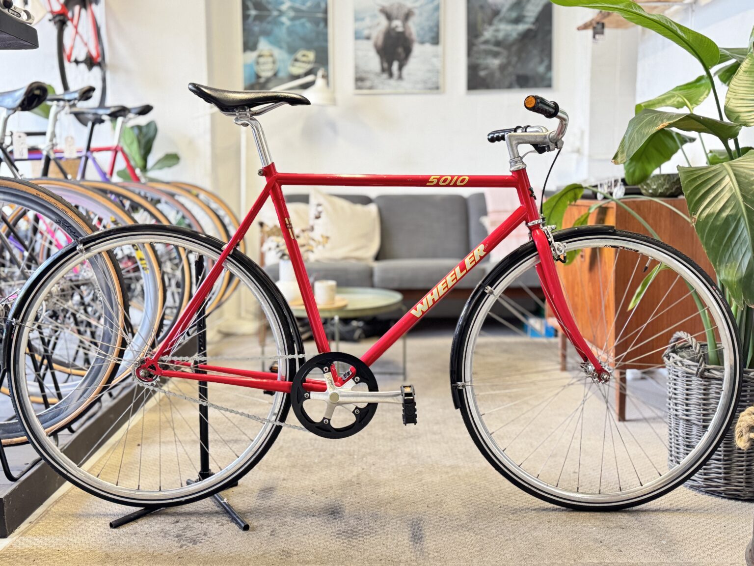 Single speed cykel & fixie bikes | Unikke designs | Kontakt os her!